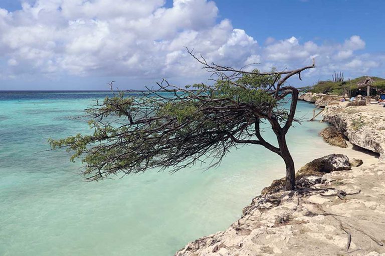 O que fazer em Aruba: roteiro de 5 dias e dicas imperdíveis